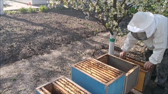 Думал картина будет лучше.