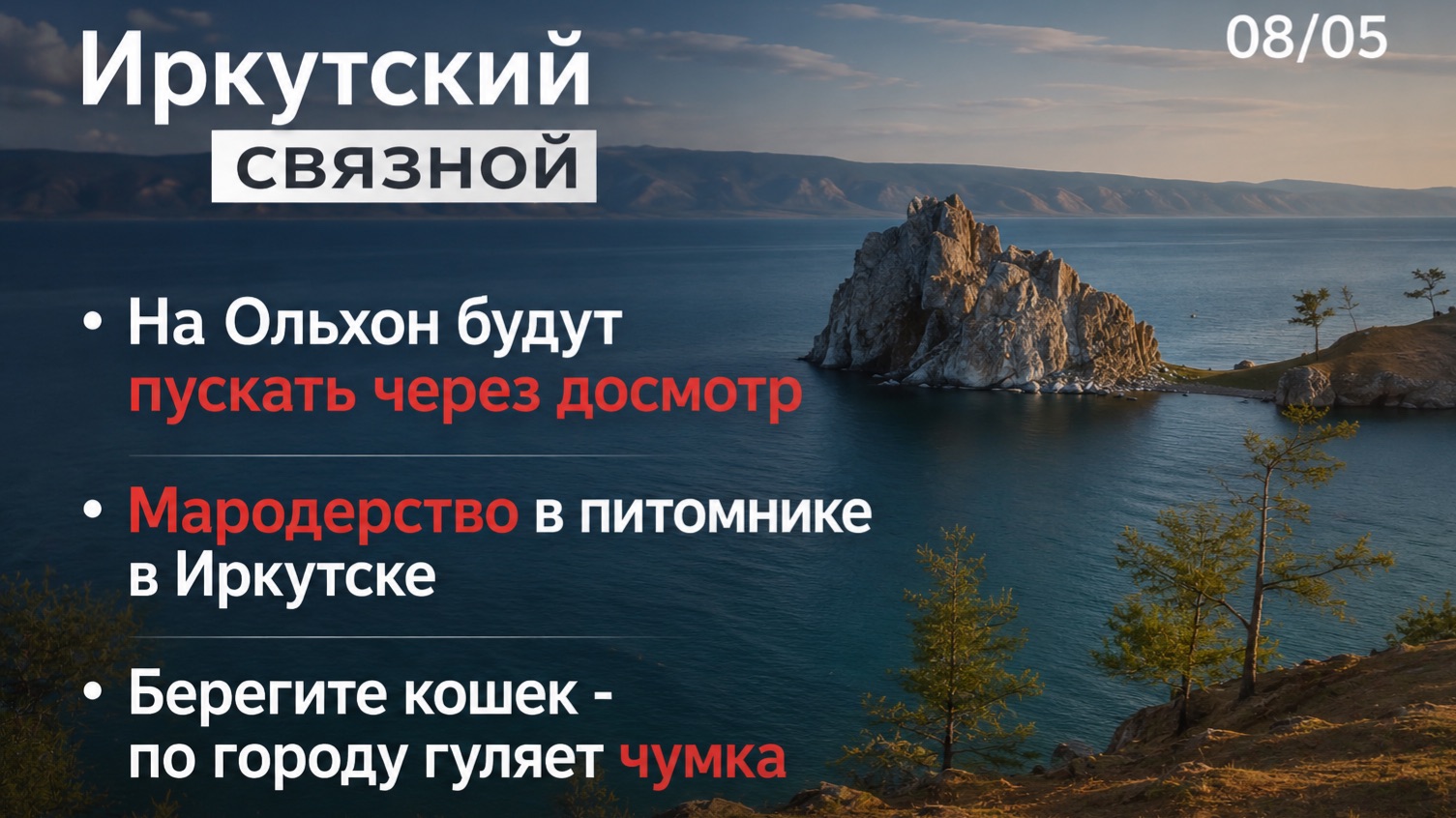 На Ольхон теперь - через досмотр. Мародерство в иркутском питомнике. ALARM: кошачья чумка в городе!