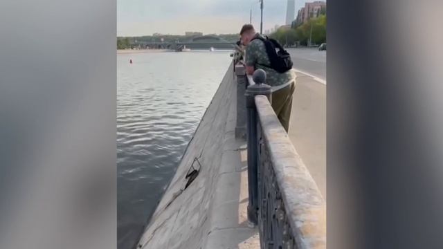 Сом-гигант весом 25 кг попался на крючок в центре Москвы
