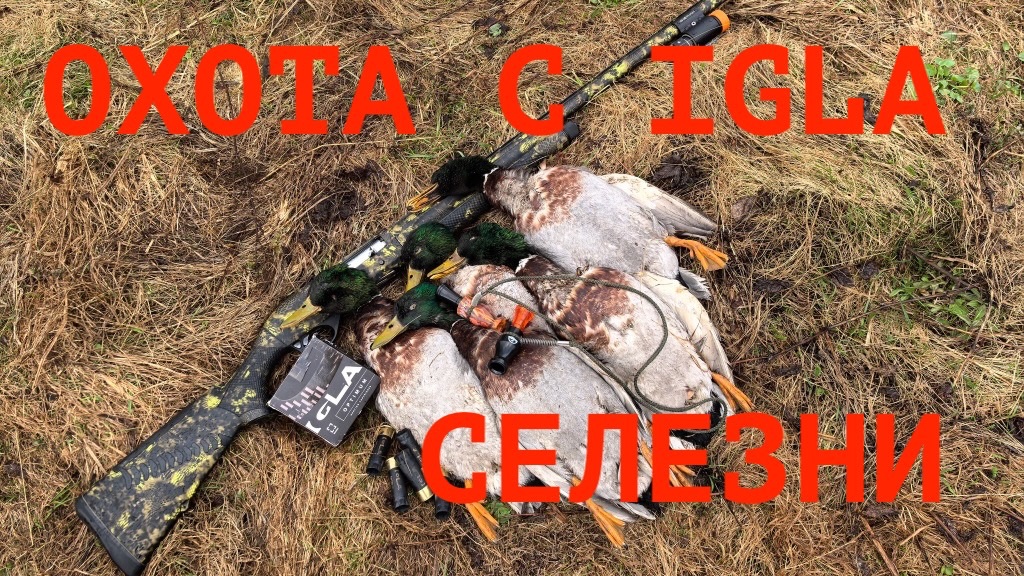 Охота с IGLA, выпуск 6: Весенний селезень