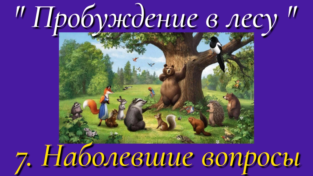 7. Наболевшие вопросы