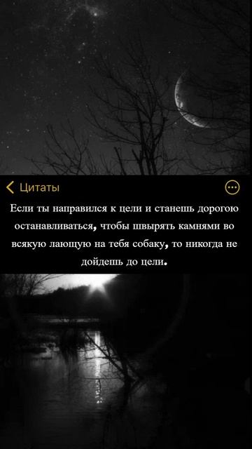 Цитата 52