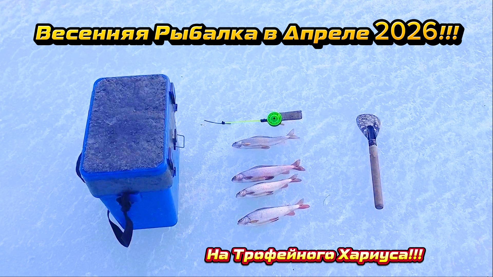 СЕВЕР!!! Весенняя Рыбалка на ТРОФЕЙНОГО ХАРИУСА!!! Девятый день!