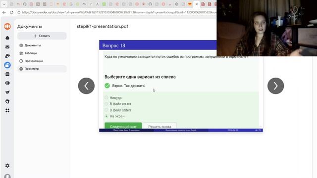 stepik1_защита