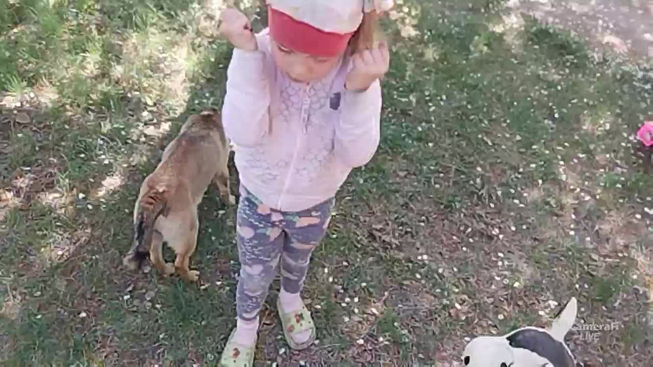 Обзор около дома