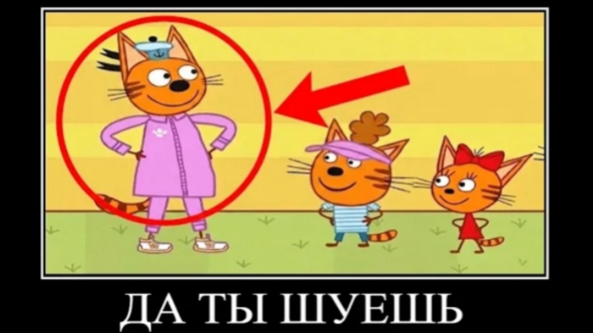 три кота демотиватор в лагере лесных засранцев🖼️