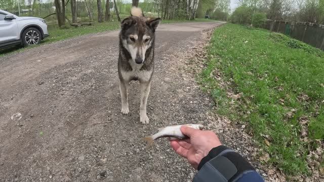 Спиннинг…. Маховая удочка. Мормышка. Поплавок.