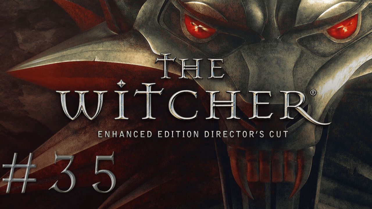The Witcher [35]