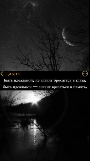 Цитата 51