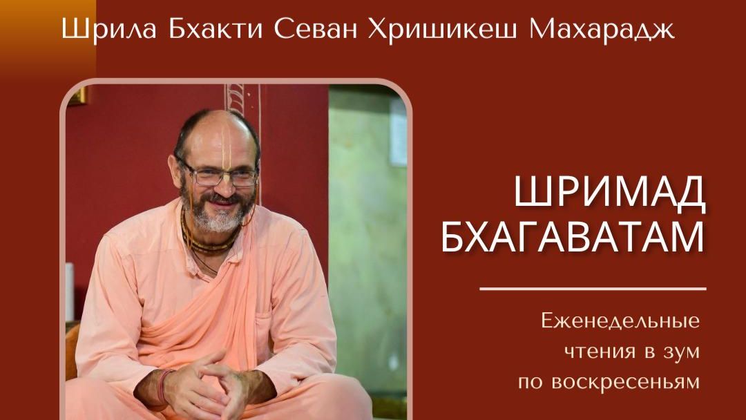 Шримад-Бхагаватам. Песнь 1.  Глава 3, стихи 24-29