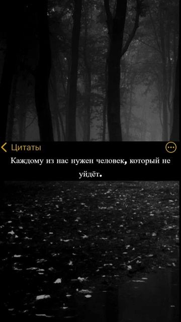 Цитата 54