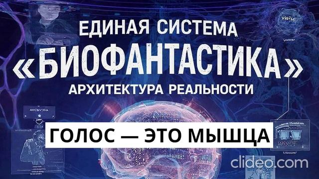Несущая частота и информационная волна.