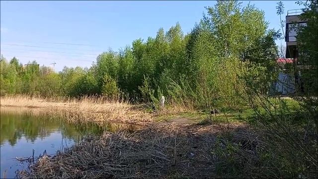ТОЧКА ЛОВА. Карась и плотва.