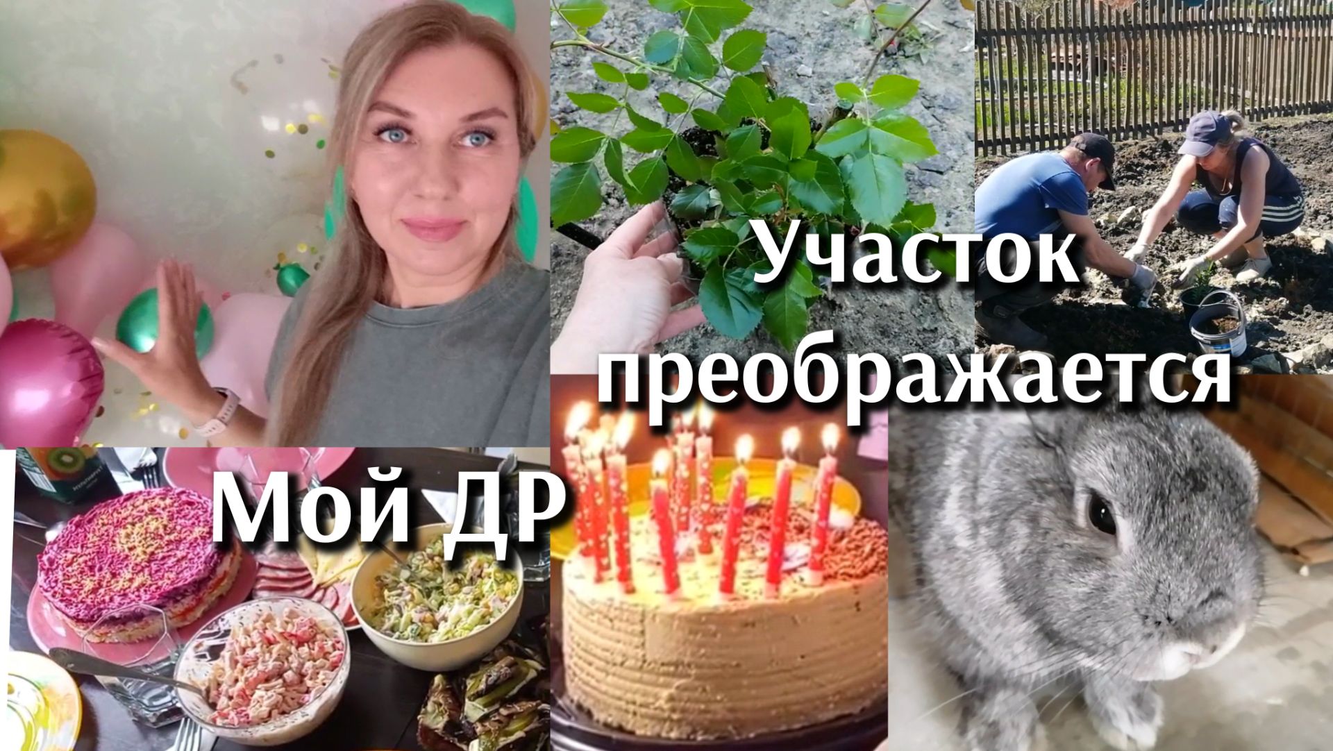 Влог❤️ Мой ДР🎂 Высаживаем цветы и можжевельники🌿🌹 #влог #обзорпокупок