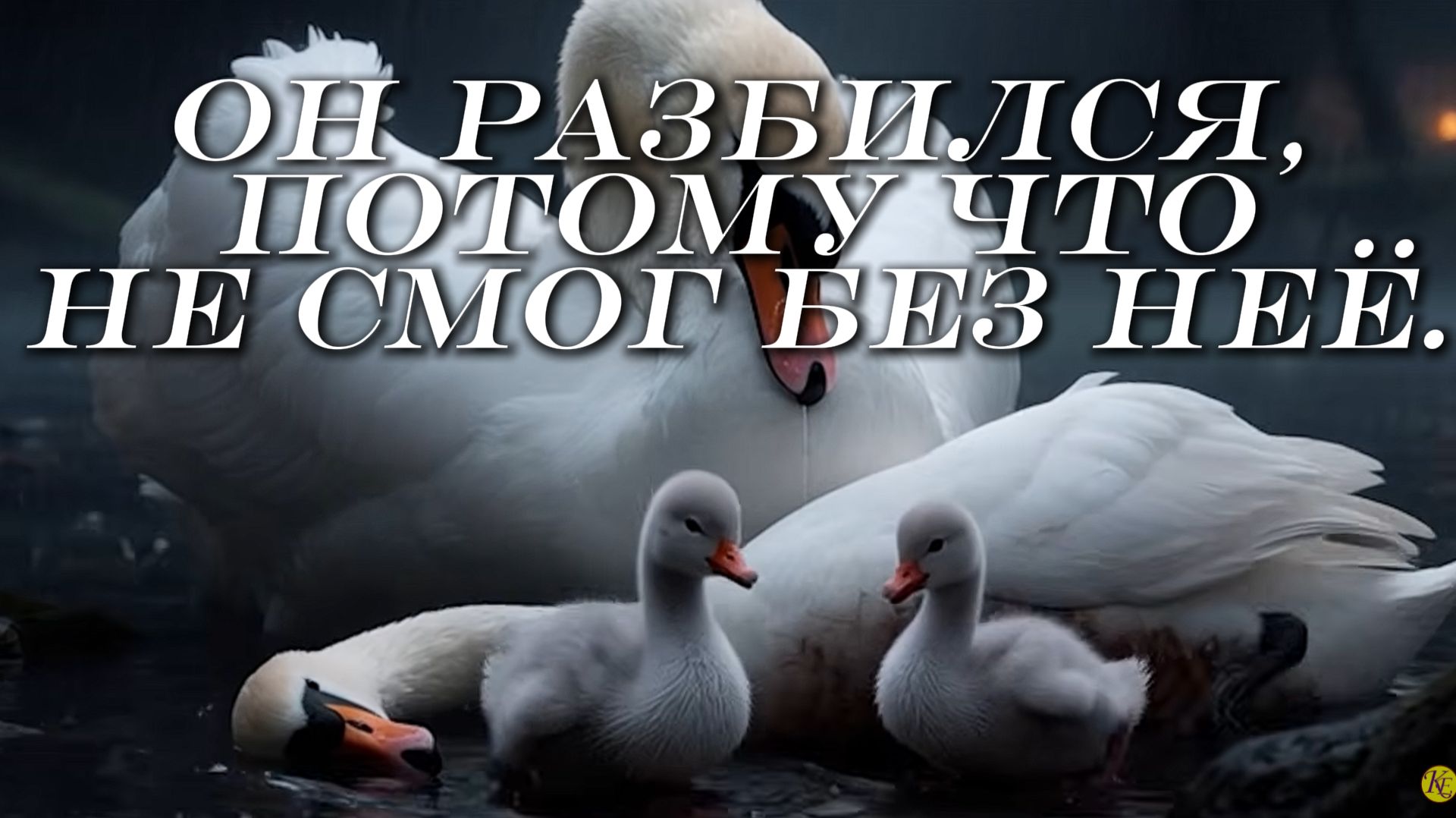 🦢 Лебединая верность