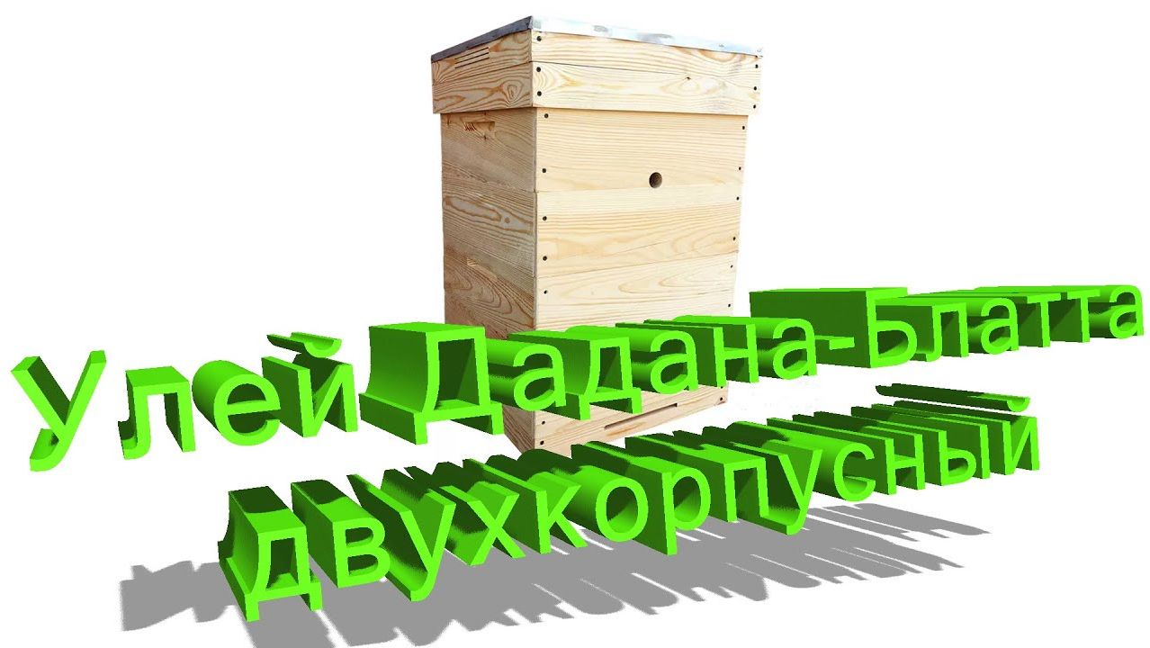 Дадан-Блатт в двух корпусах: плюсы, минусы и подводные камни | Профессор Кашковский 🐝🏗️