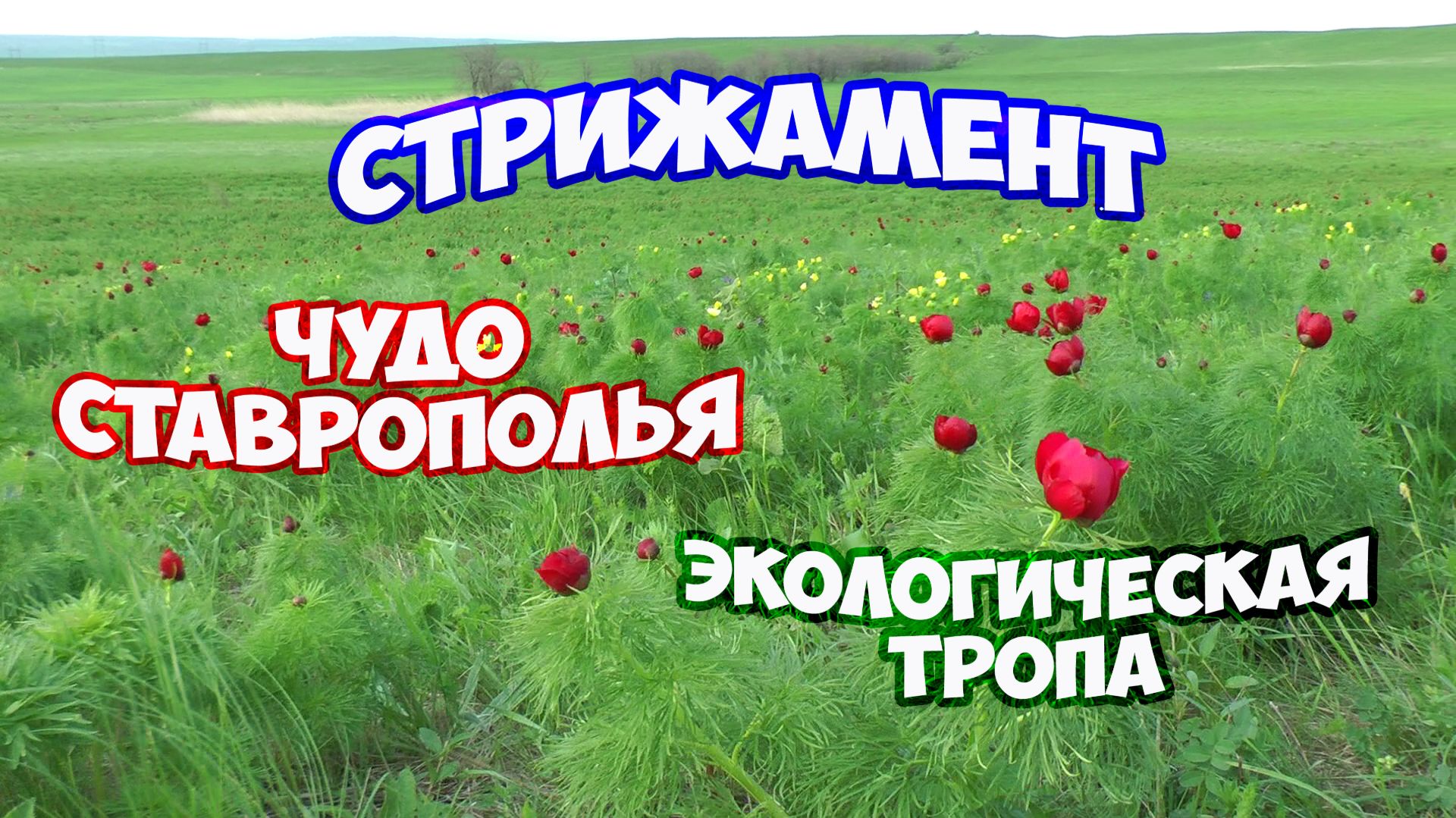 Ставрополь. Экологическая тропа на горе Стрижамент в Ставрополе. Отдых в Ставрополе