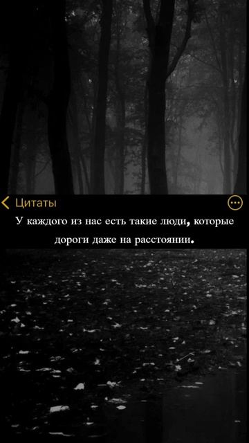 Цитата 55