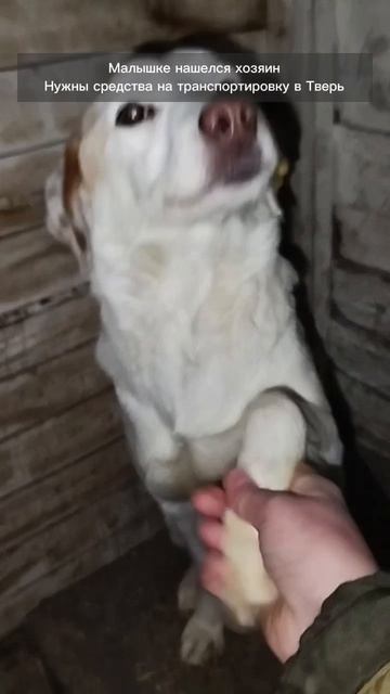 ИЗ БАШКИРИИ В ТВЕРЬ