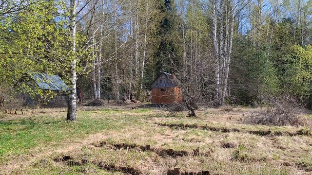Видеоосмотр участка. Вид на баню и лес.