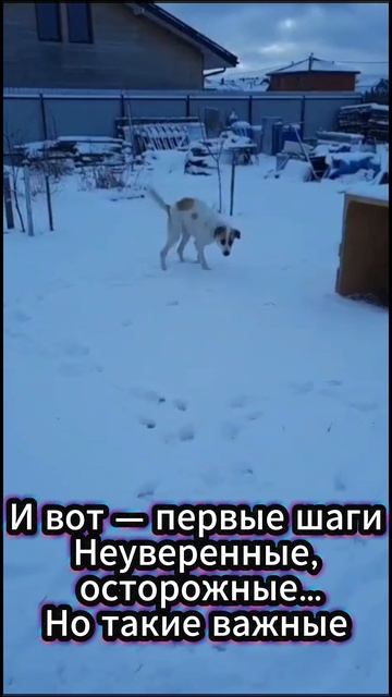 Шерлок история