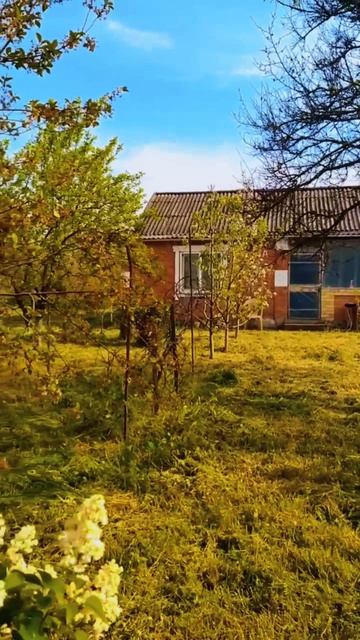 🏡Кирпичный дом🚩54.3 м²🦯16 соток🦯газ🦯вода🦯2 700 000 ₽ 🦯ст. Крыловская🦯89245404992 Виктор С🌴