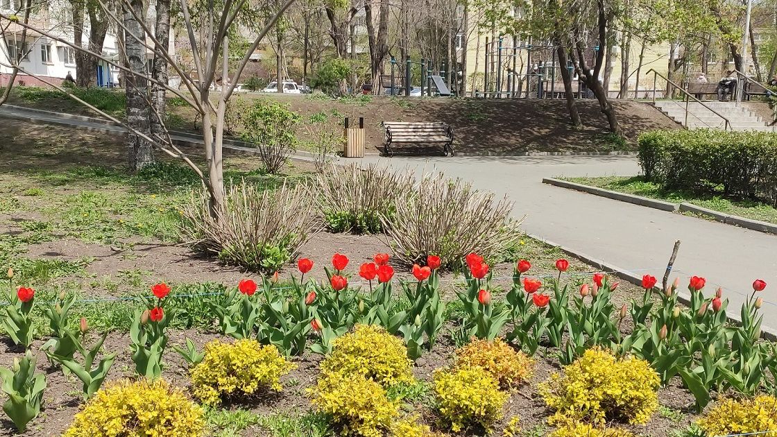 Столетие, Вторая речка, море. Владивосток