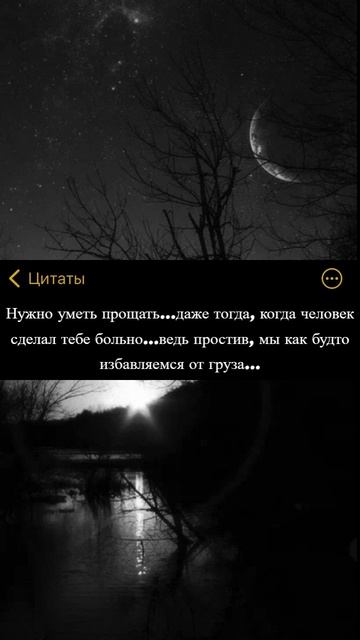 Цитата 53