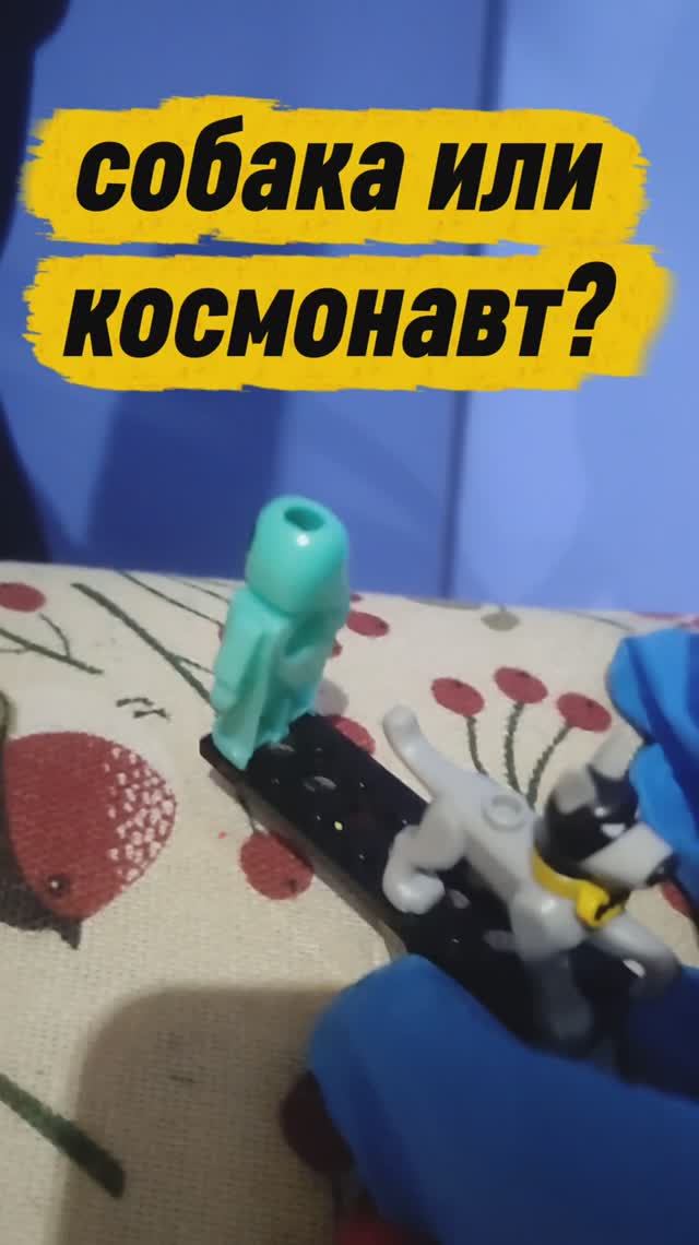 боузер младший лего Бэтмен