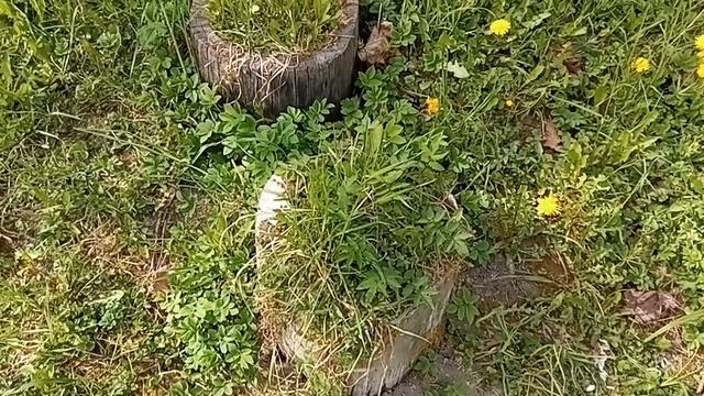 В День Победы