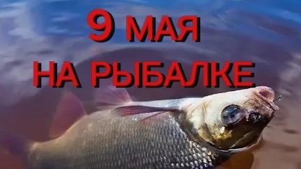 Рыбалка в мае. 9 МАЯ ловим в Ростовской области х.Краснодворск