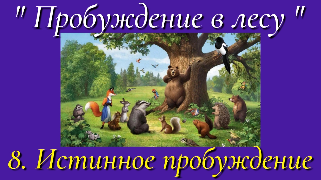 8. Истинное пробуждение
