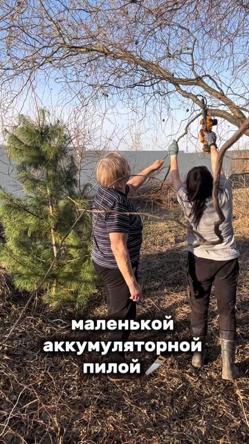 Пилим😊