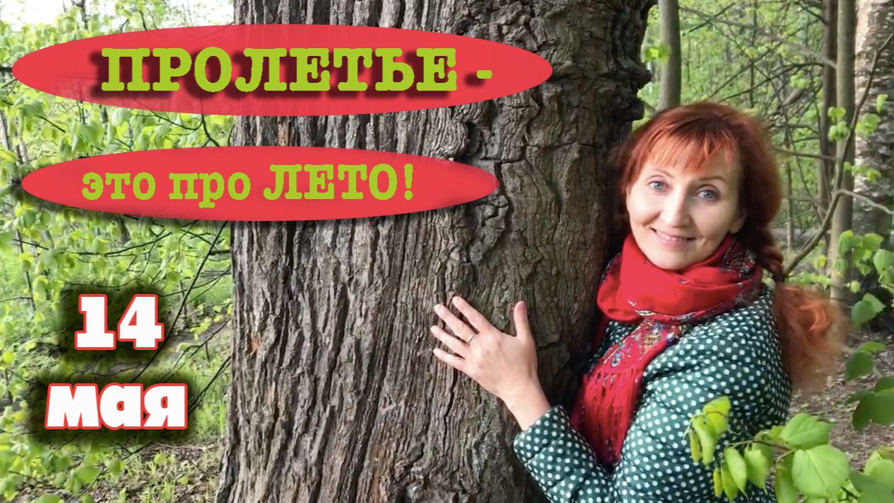 14 мая Пролетье