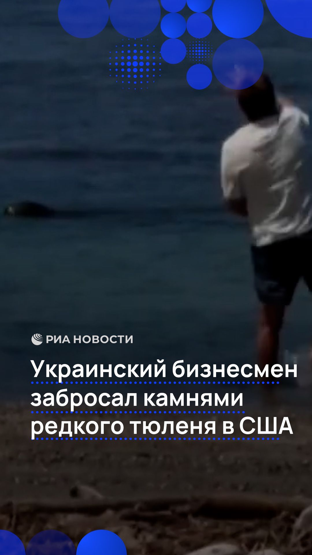 Украинский бизнесмен забросал камнями редкого тюленя в США