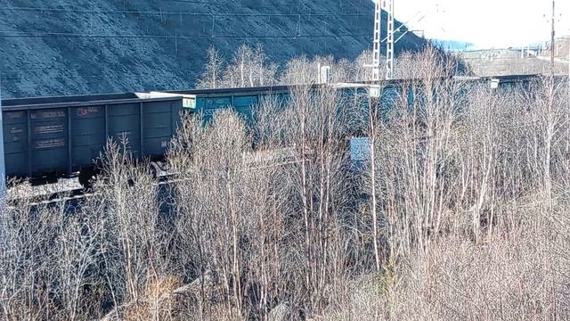Быстрый грузовой поезд проезжает мимо