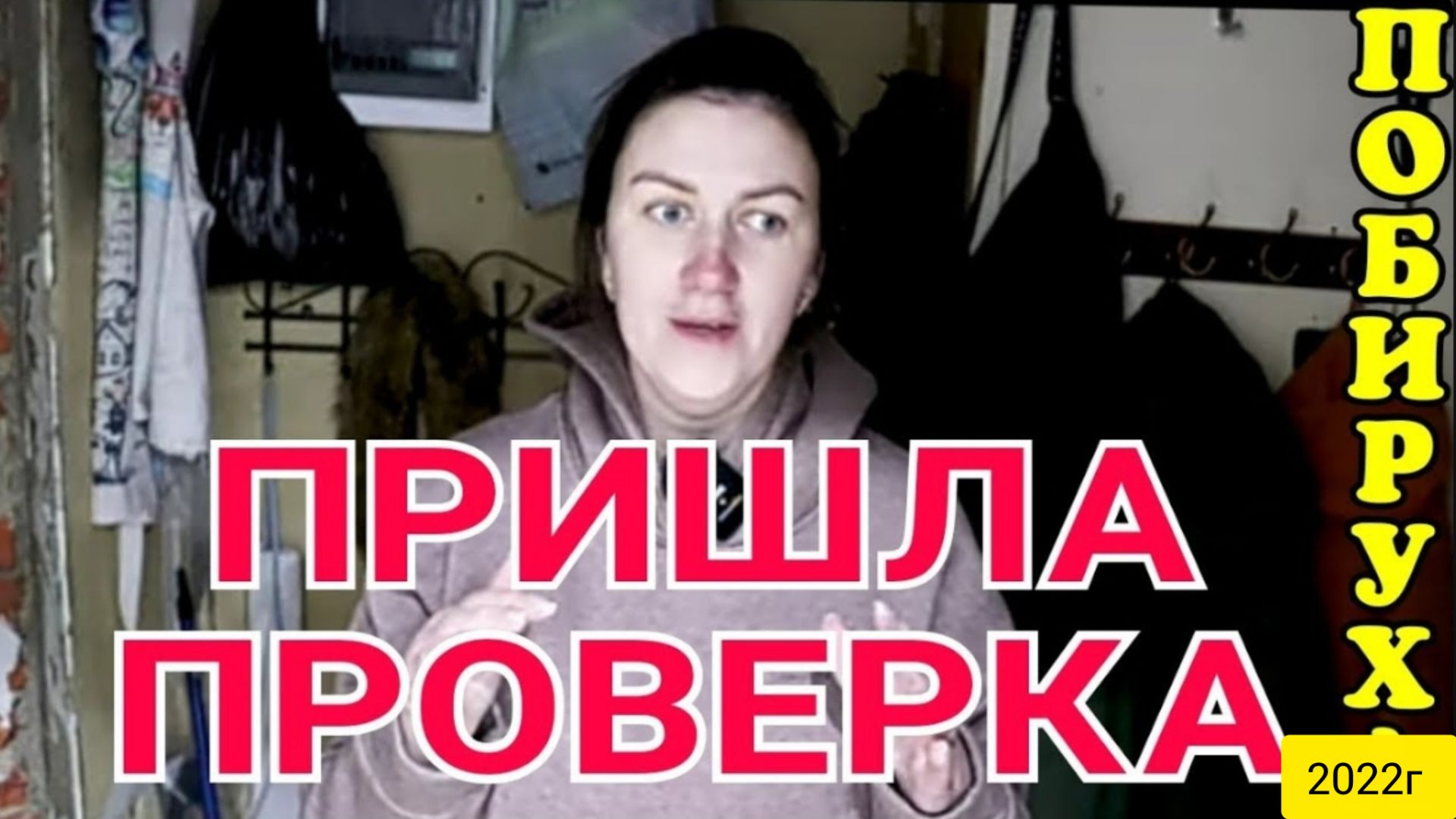 Деревенский дневник очень многодетной мамы _Пришла проверка_Лопатой по хребту_Обзор Влогов _Мать_