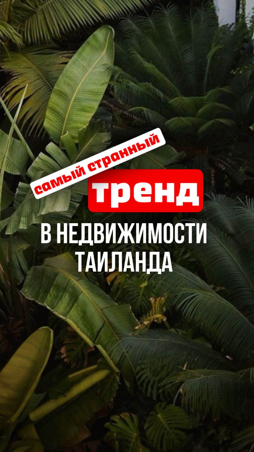 САМЫЙ СТРАННЫЙ ТРЕНД В НЕДВИЖИМОСТИ ТАИЛАНДА | 2026