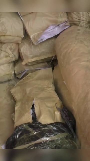 Контрабанда ценных природных ресурсов: клык моржа, трепанг, чага