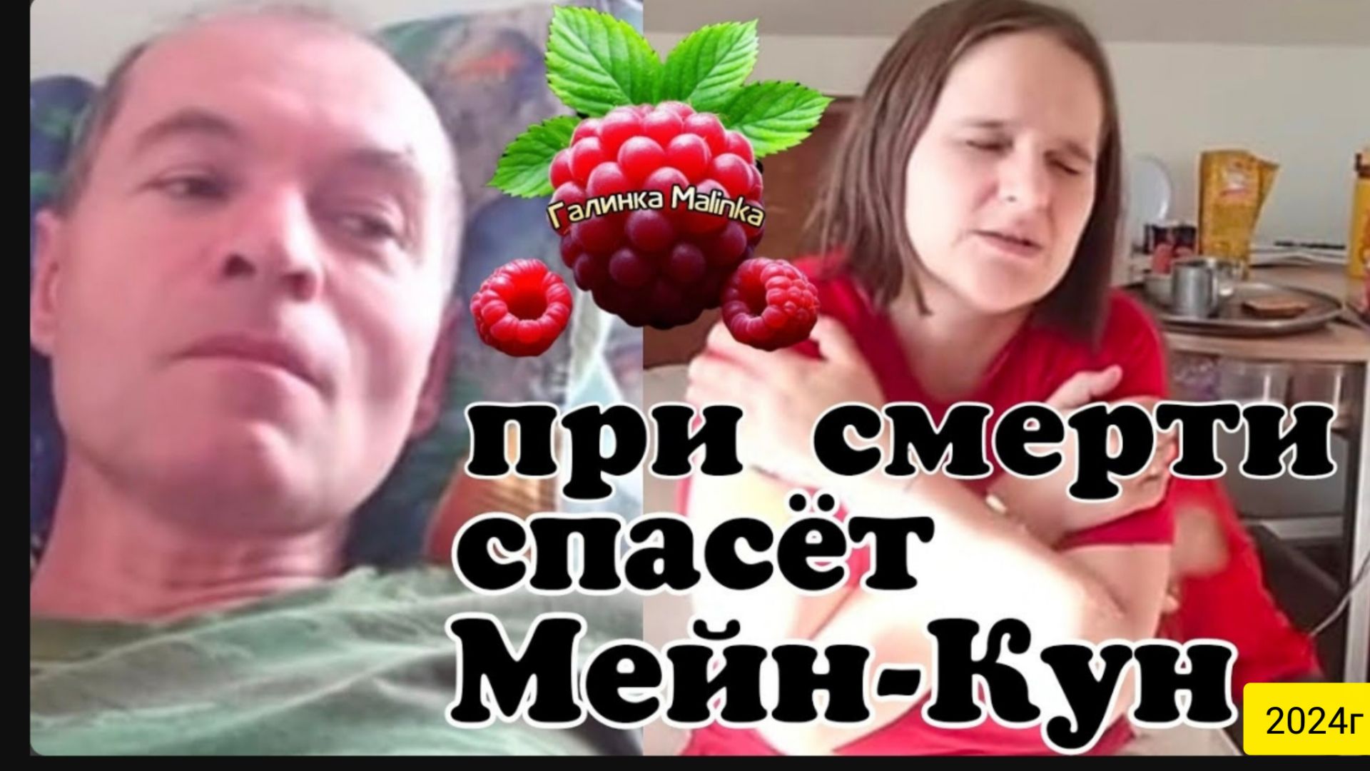Семья Бровченко _При смерти _Спасет только мейн- кун _Обзор _Колесниковы ушли _Многодетная семья
