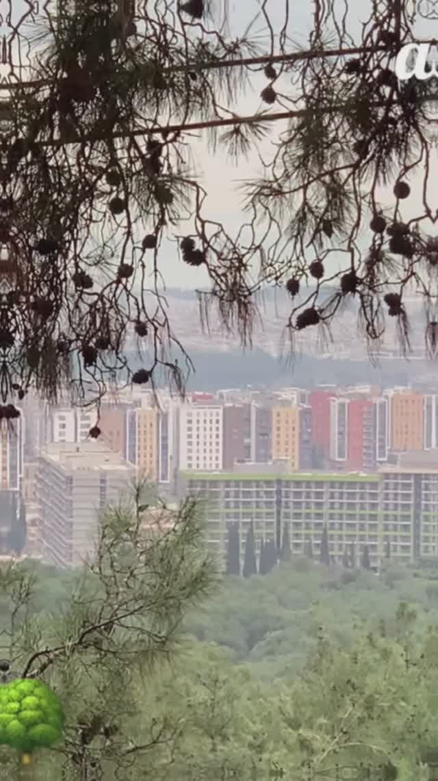 День 7: парк 🌳, Анталья, Турция 🇹🇷 👀 смотри адвайзеры тревел 👉