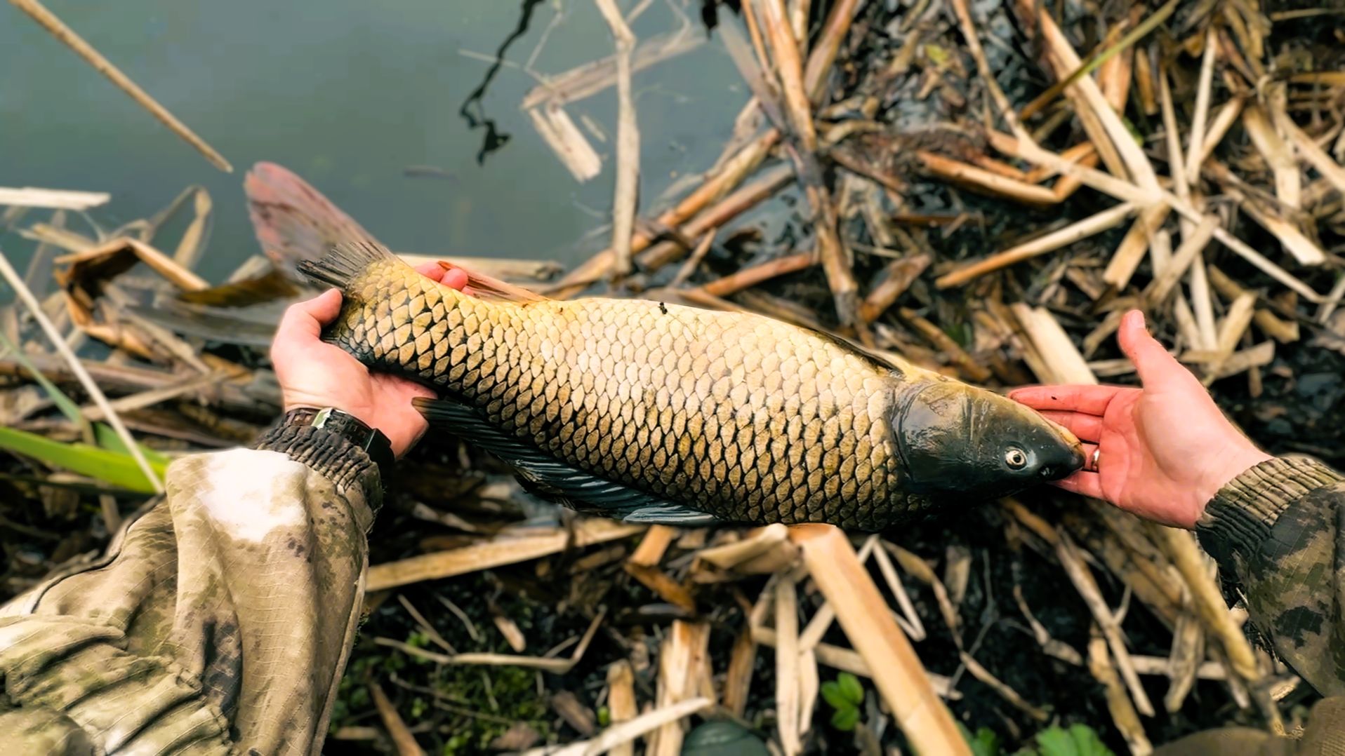 Кастинг. Тест узла FG Knot. 10.05.2026 🎣🐟🌧️