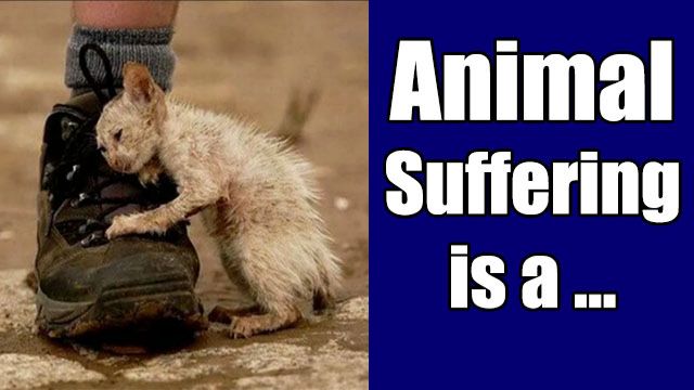 Animal Suffering is a Human Responsibility | Peter Singer Full Interview