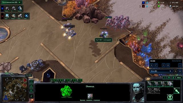 SC2 Ладдер 9 мая