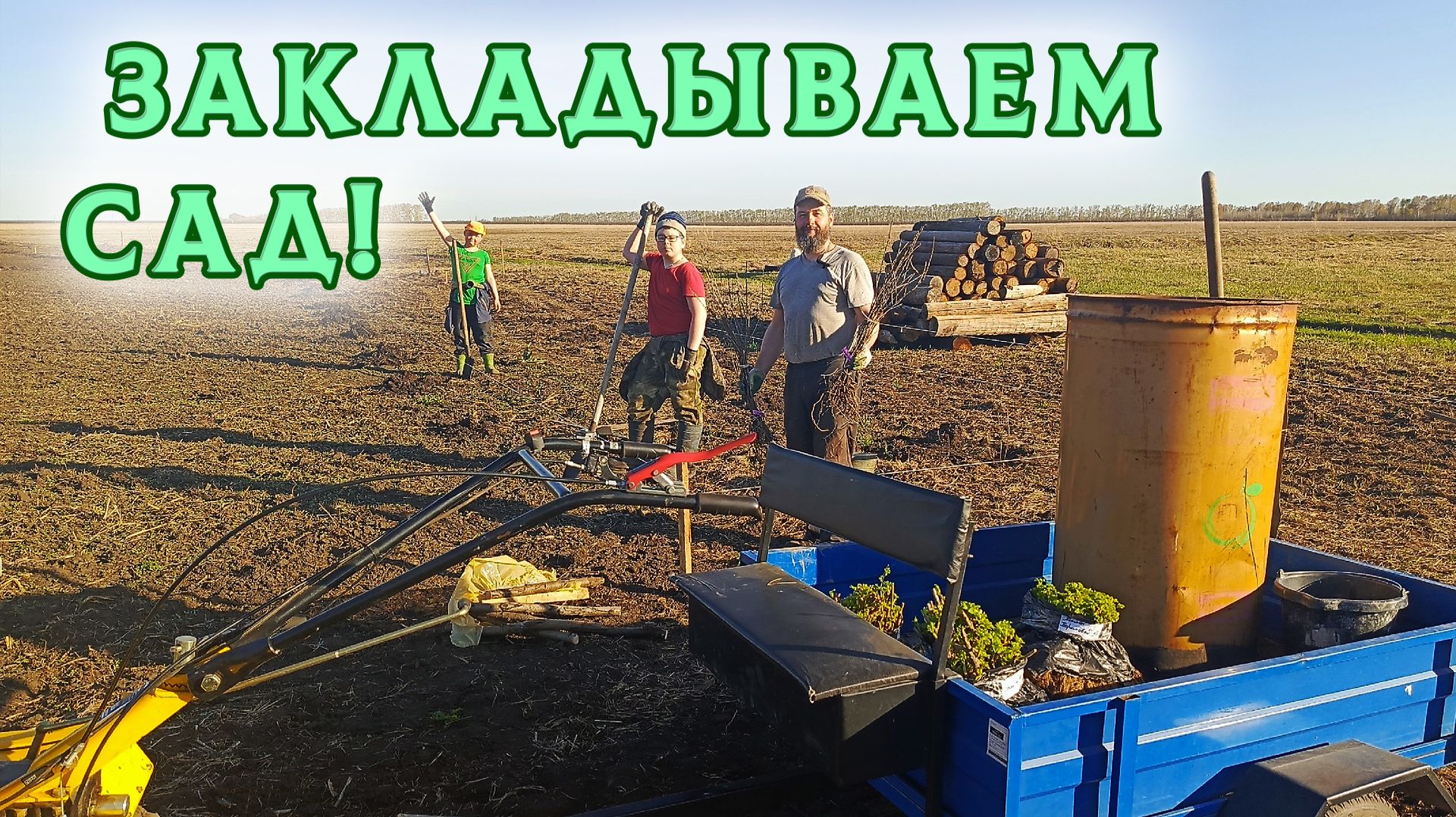 Женский отряд: Клавдия, Сударушка, Елизавета...Садим облепиху и смородину на новом участке. Май 2026