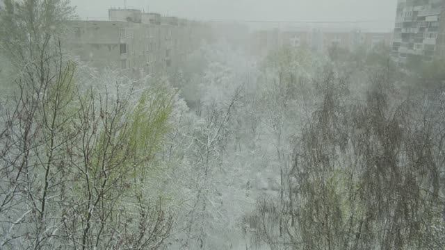 Снежная буря в апреле 2026
