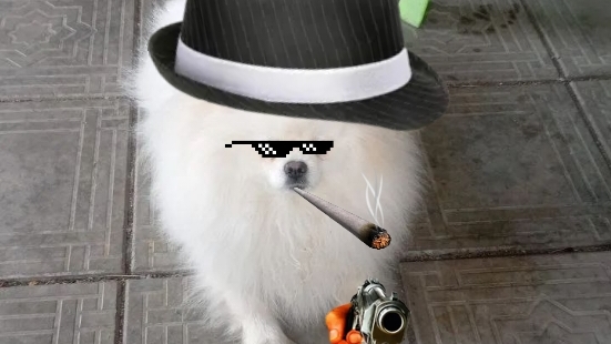 музыка