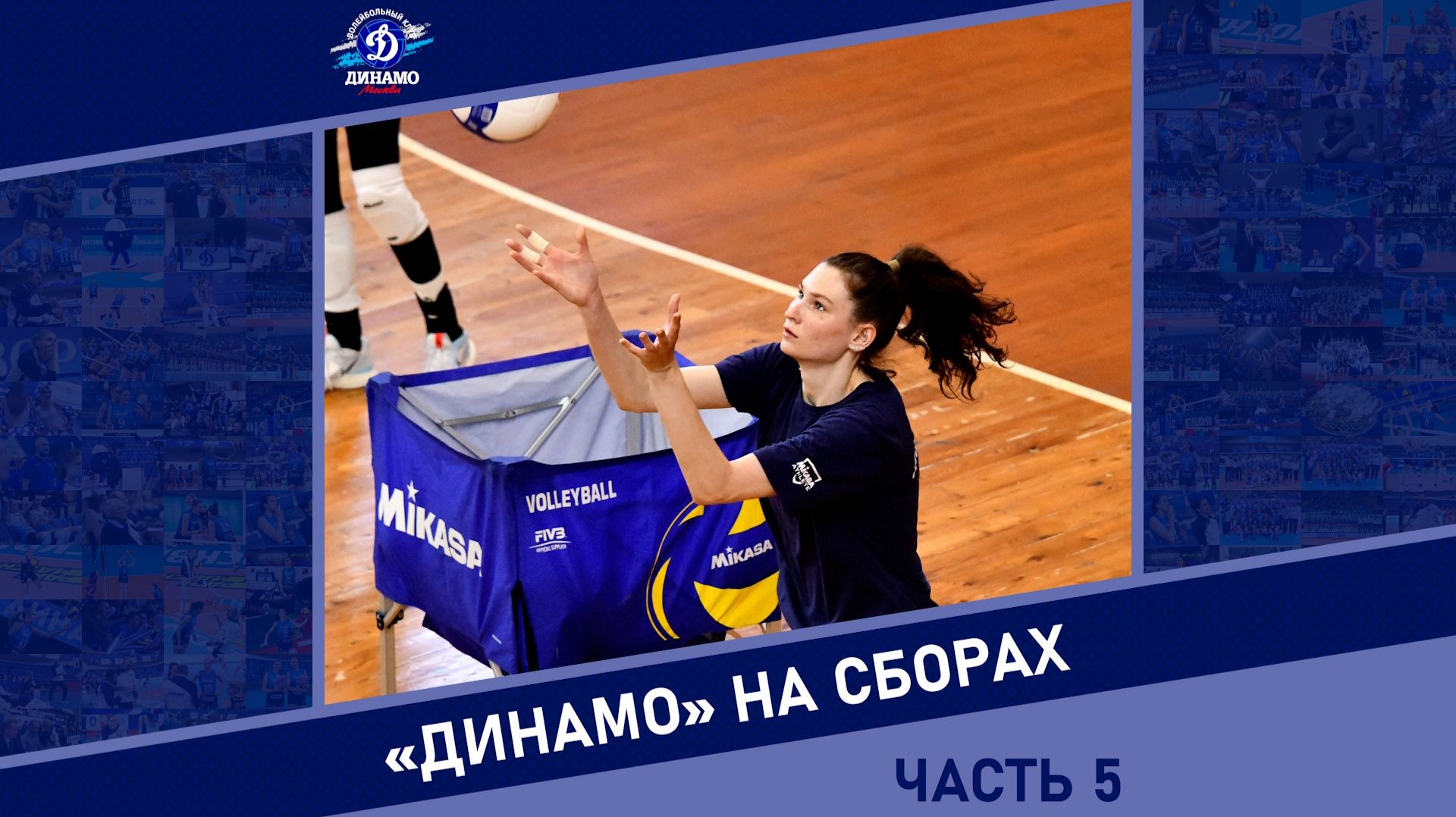 Анастасия Жаброва: "Я очень рада вернуться в "Динамо"