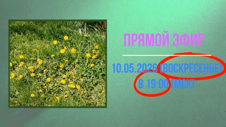 Анонс эфира 10.05.2026