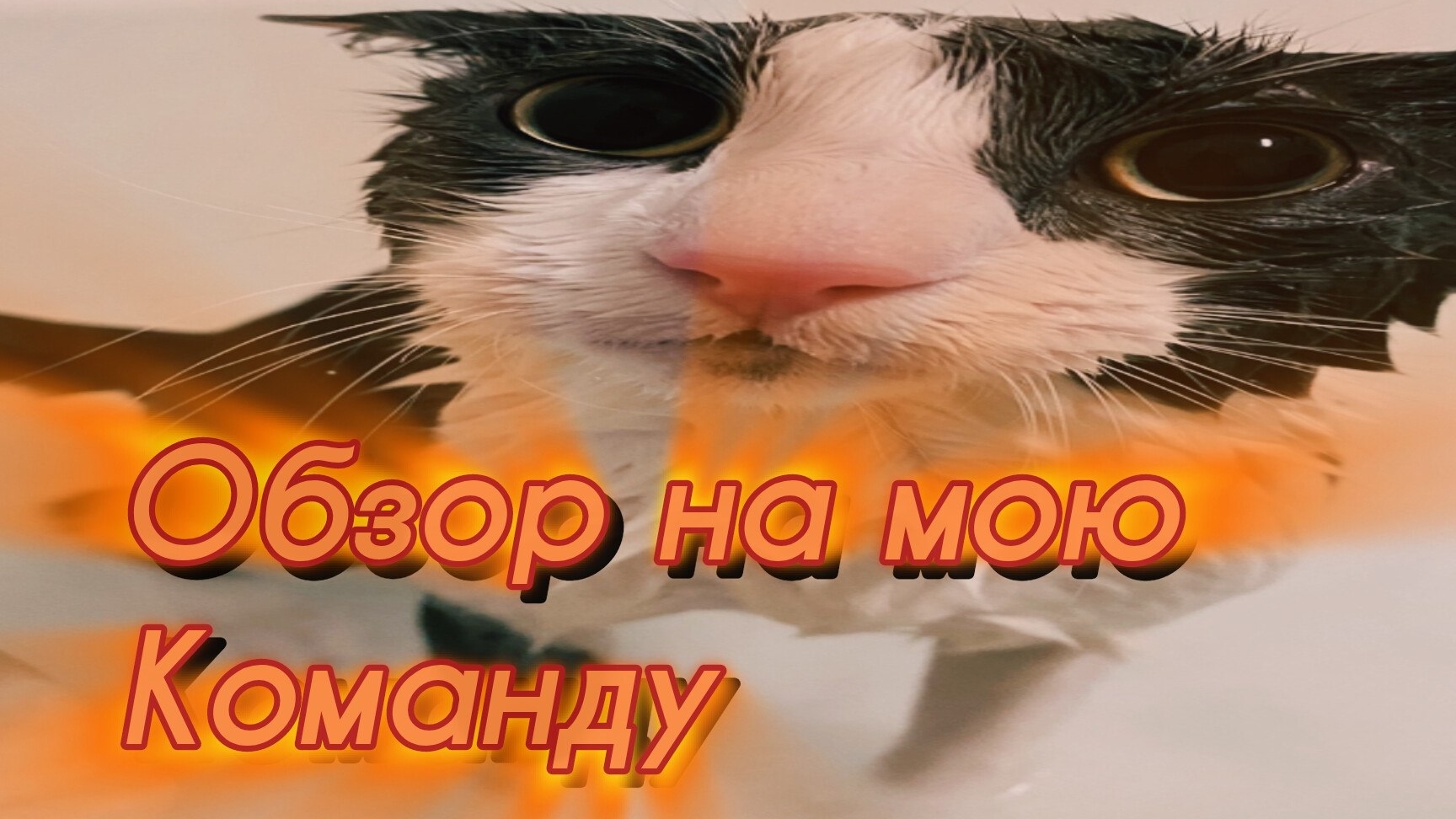 ОБЗОР НА МОЮ КОМАНДУ!